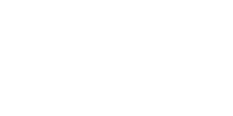 Sopa Wantán - Fábrica de Fideos el Triunfo